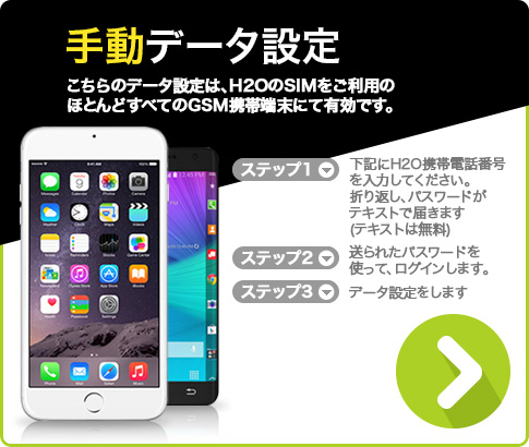 H2O Wireless Japan
